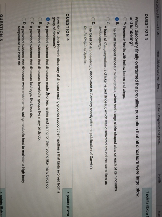 Solved he Origin of Birds- HHMI.. | Chegg.com