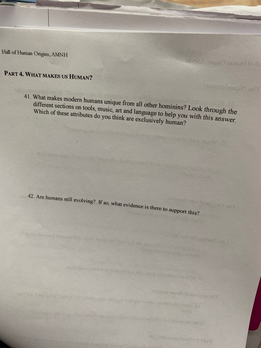 Solved Hall of Human Origins, AMNH PART 4. WHAT MAKES US | Chegg.com