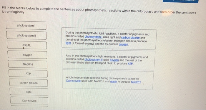 Solved Filli the blanks below to complete the sentences | Chegg.com
