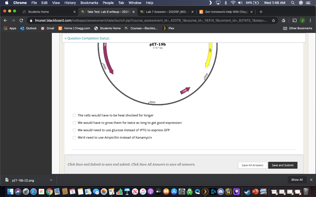 Solved For our GFP plasmid we used pET29b as a vector. | Chegg.com