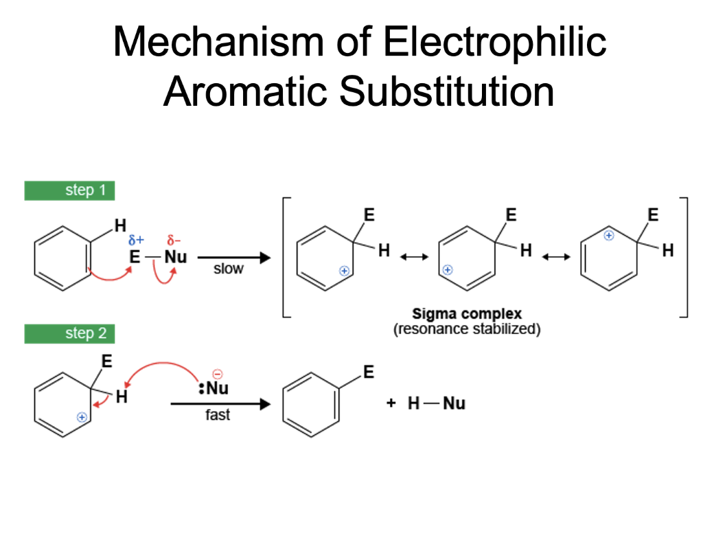 Solved Draw the structure of the sigma-complex intermediate | Chegg.com