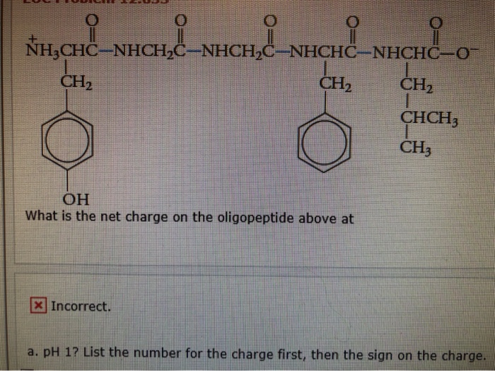 Solved NH:CHC-NHCH2C-NHCH2C-NHCHC-NHCHC-o CH2 CHCH3 CH3 CH2 | Chegg.com