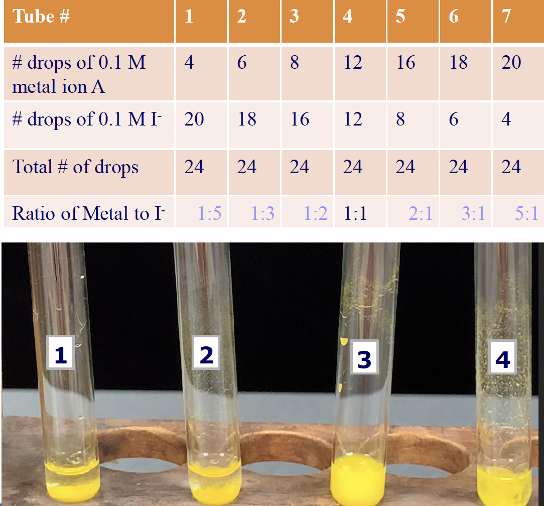 Solved Based on the results of your experiment, write | Chegg.com
