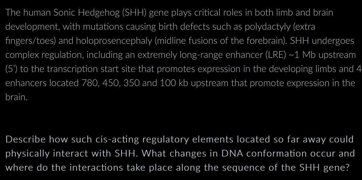 The human Sonic Hedgehog (SHH) gene plays critical | Chegg.com