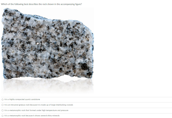 Solved Which of the following best describes the rock shown | Chegg.com