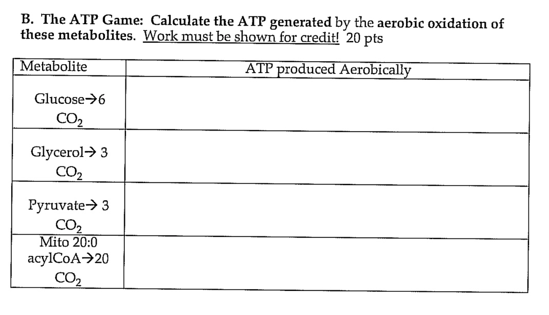 Solved Calculate the ATP generated by aerobic oxidation of | Chegg.com