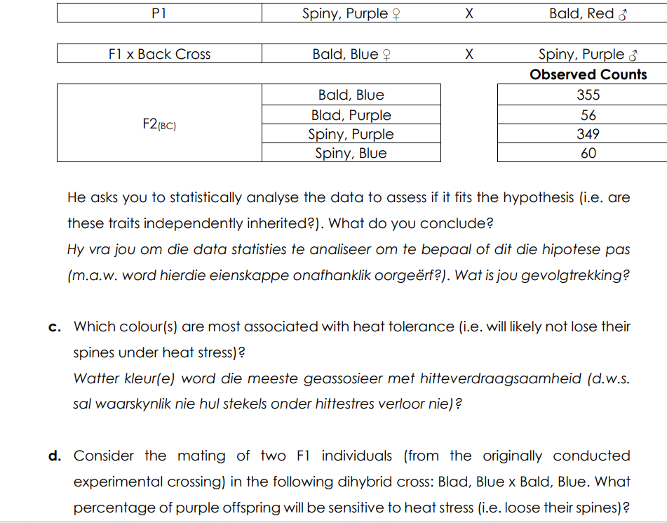 Solved You are a genetics intern at a research lab that | Chegg.com