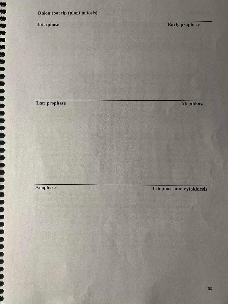 Solved Proper use of the microscopes The exercises in this | Chegg.com