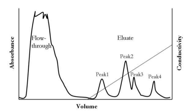 Solved Figure above shows a chromatogram of protein in ion | Chegg.com