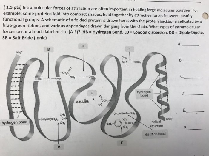 Solved (1.5 pts) Intramolecular forces of attraction are | Chegg.com
