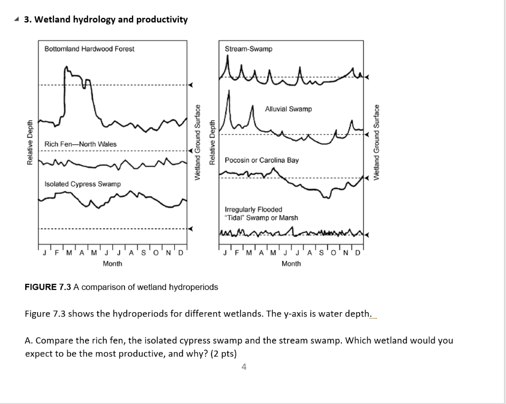 Solved 3. Wetland hydrology and productivity Bottomland | Chegg.com