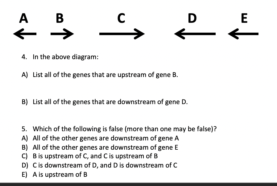 Solved A B C D E , 으 트 4. In the above diagram: A) List all | Chegg.com