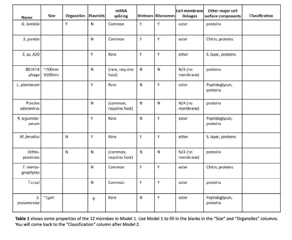 You will come back to the "Classification" column | Chegg.com