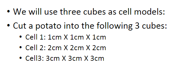 Solved 7. Use the measurements to calculate surface area, | Chegg.com