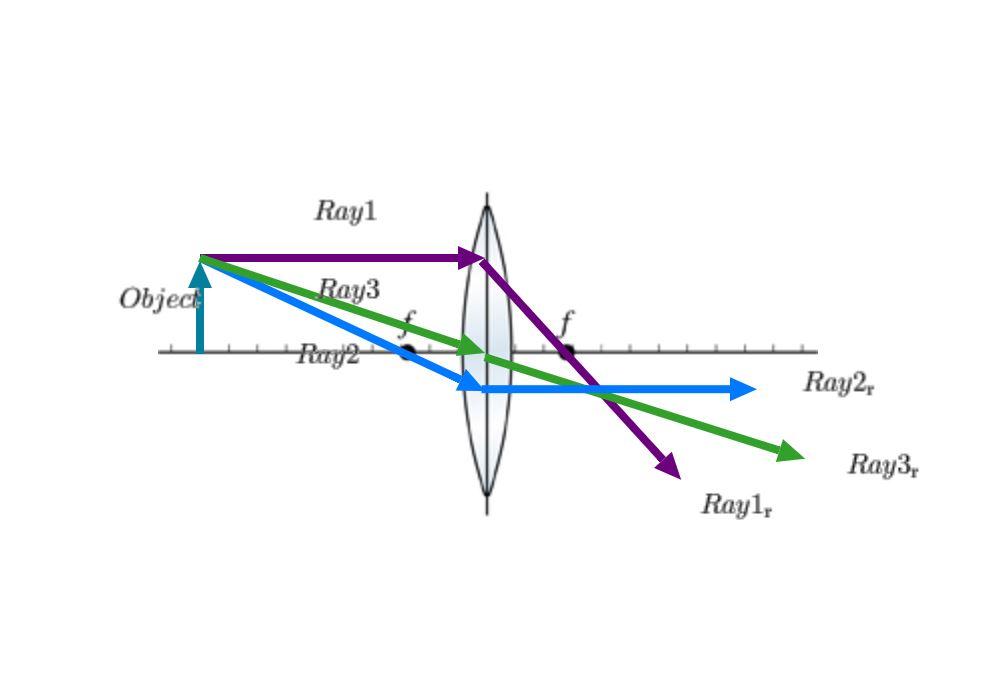 Solved TACTICS BOX 18.2 Ray tracing for a converging lens 1. | Chegg.com