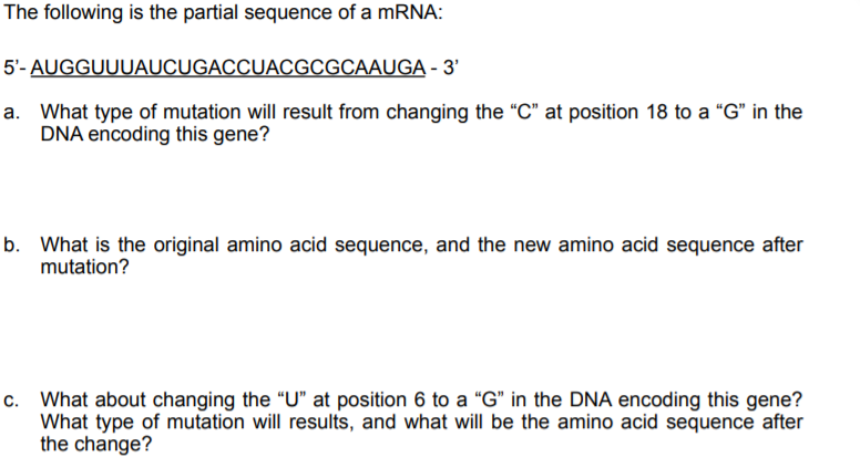 Solved The following is the partial sequence of a mRNA What | Chegg.com