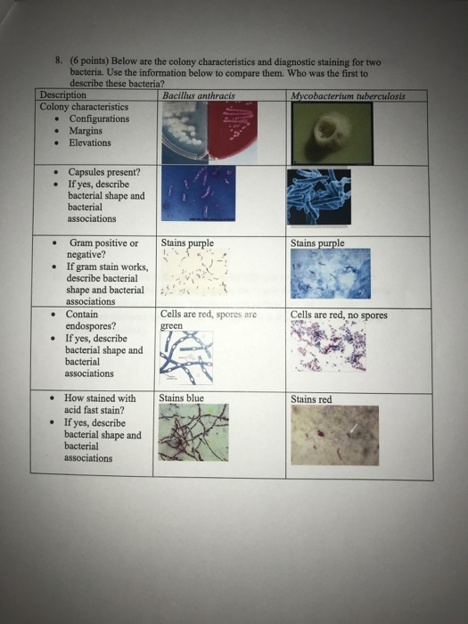 Solved 8. (6 points) Below are the colony characteristics | Chegg.com
