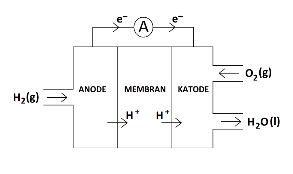 Solved In a hydrogen fuel cell, a combustion reaction takes | Chegg.com