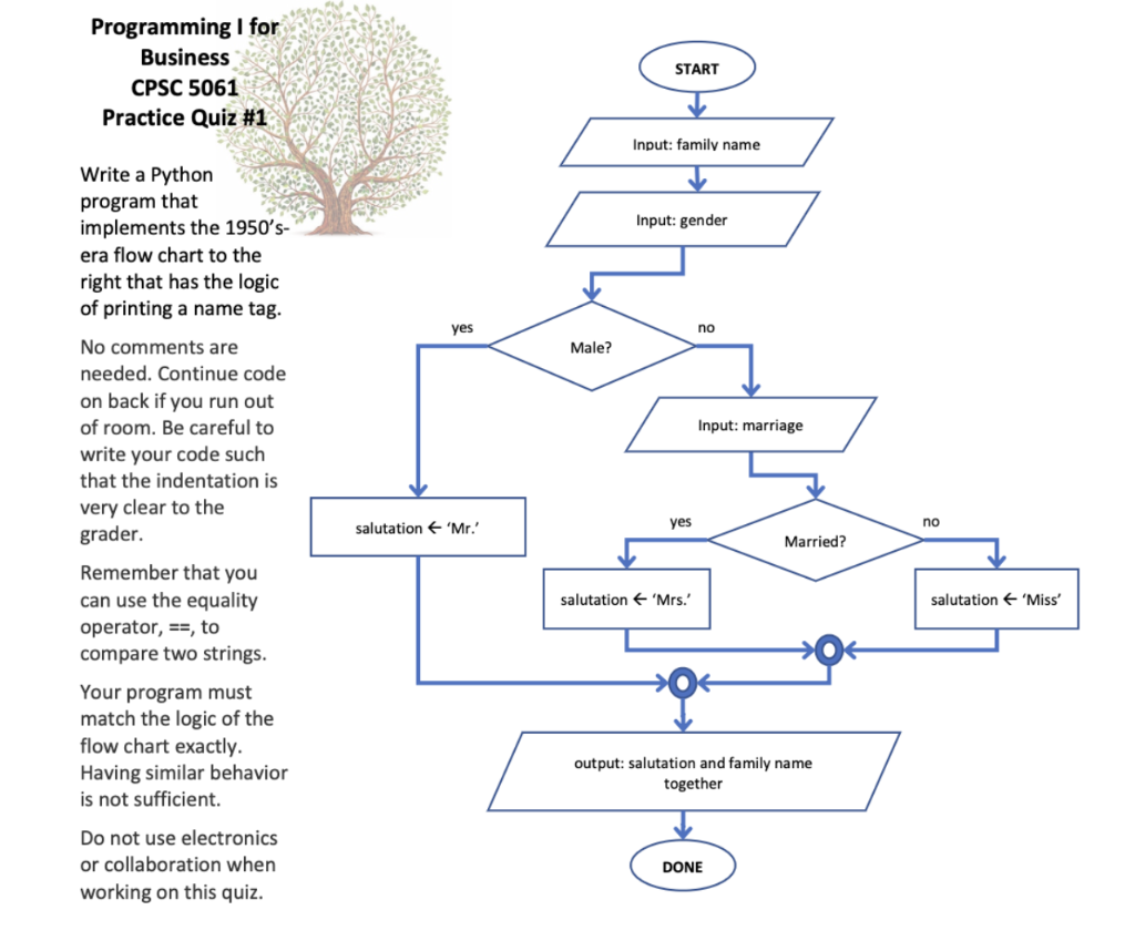 Solved Programming I for Business CPSC 5061 Practice Quiz #1 | Chegg.com