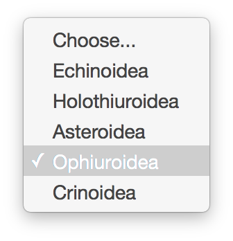 Solved Select all echinoderm synapomorphies. To get full | Chegg.com
