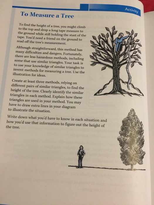 Solved Activity To Measure a Tree To find the height of a | Chegg.com