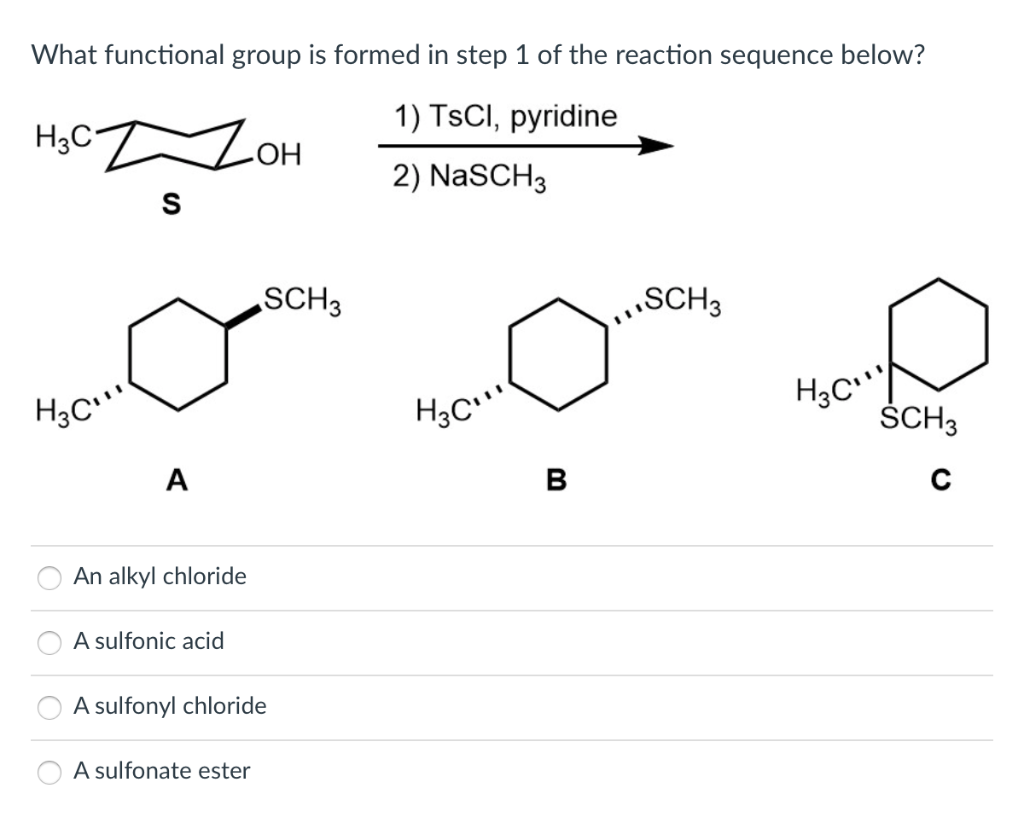 Solved What functional group is formed in step 1 of the | Chegg.com