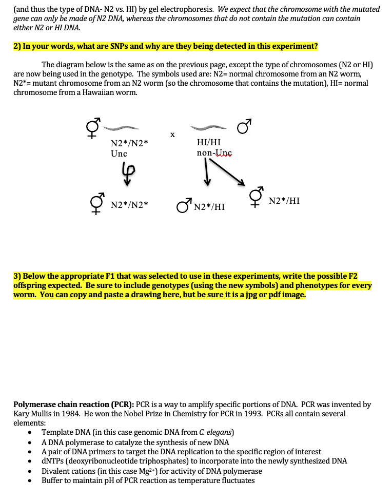 Genetic mapping using single nucleotide polymorphisms | Chegg.com
