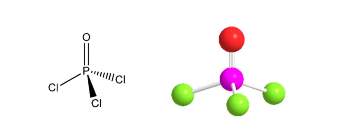 Solved List the symmetry elements of the following | Chegg.com