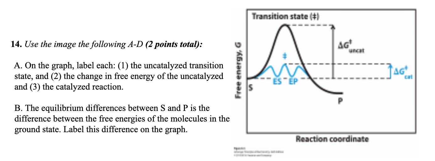 Solved Transition state (#1 14. Use the image the following | Chegg.com