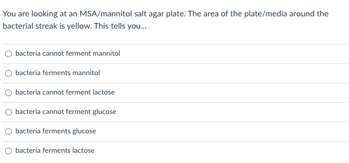 Solved You are looking at an MSA/mannitol salt agar plate. | Chegg.com