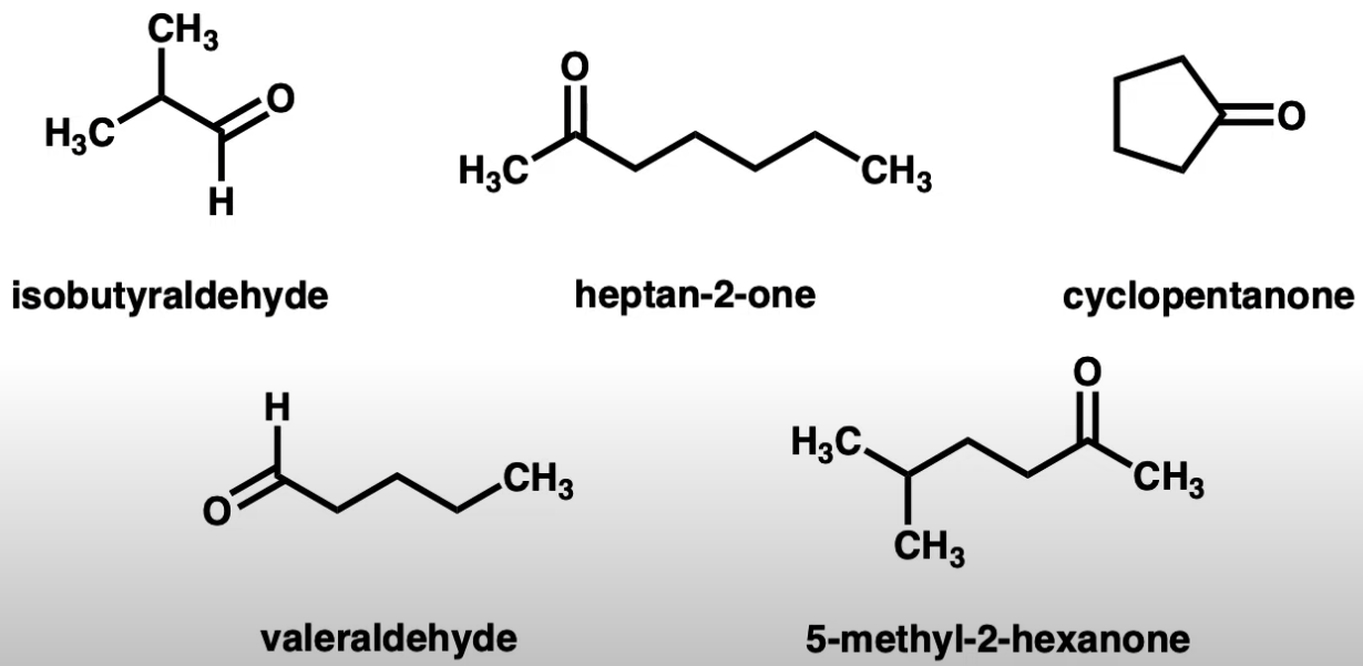 Solved isobutyraldehyde heptan-2-one cyclopentanone | Chegg.com