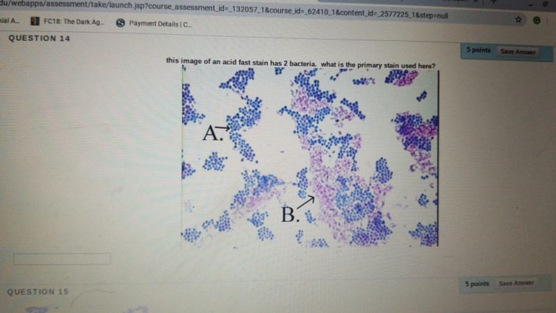 Solved suny.edu/webapps/assessment/take/launch.jsp?course | Chegg.com