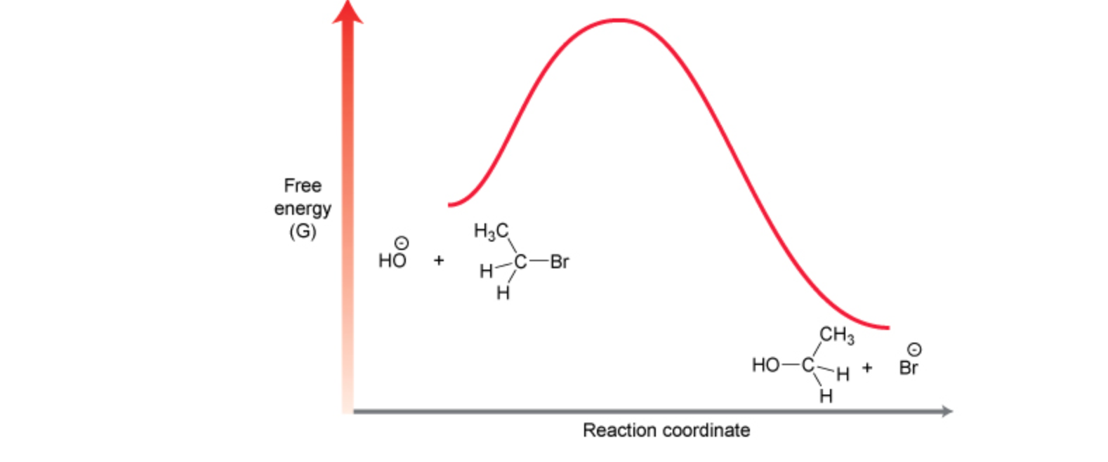 Solved Practice Problem 06.30a The following compound | Chegg.com