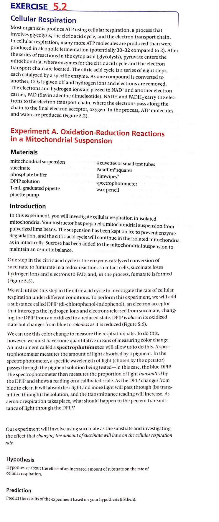 Solved EXERCISE_5.1 Alcoholic Fermentation For centuries, | Chegg.com