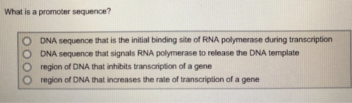 Solved The codon table identifies the amino acid sequence | Chegg.com