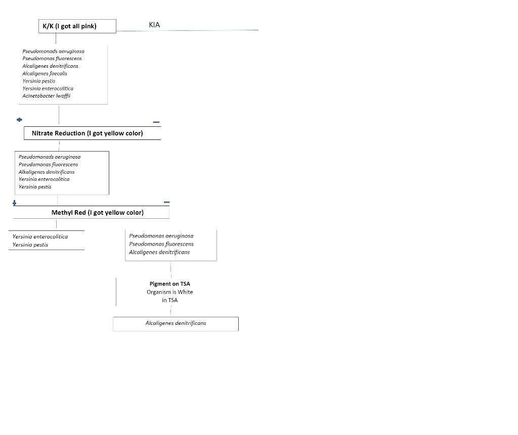 Solved Hello, I need help with the Flowchart, I don't know | Chegg.com