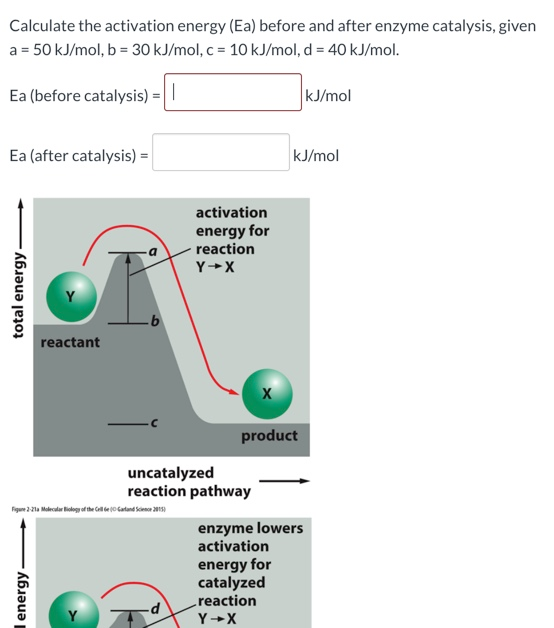 Solved Calculate the activation energy (Ea) before and after | Chegg.com