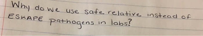 Solved Why do we use safe relative instead of ESKAPE | Chegg.com