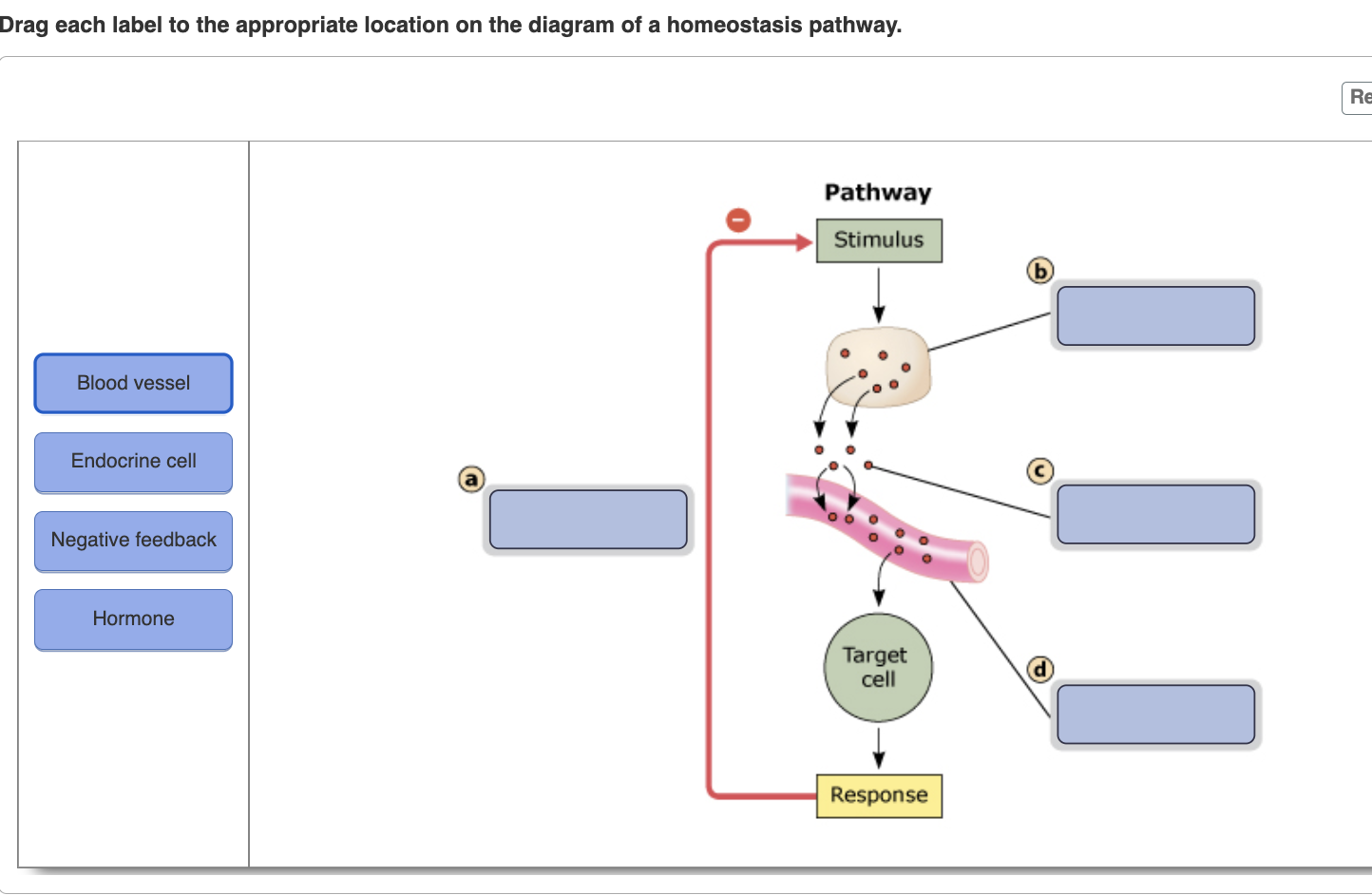 Solved Drag each label to the appropriate location on the | Chegg.com