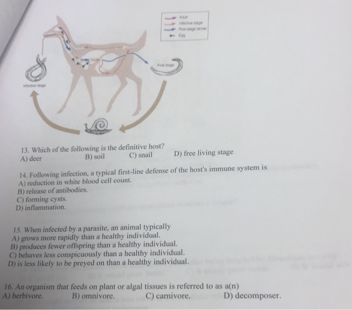 Solved 6. Coevolution between predator and prey suggests A) | Chegg.com