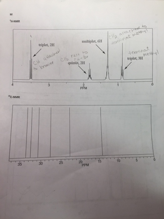 Solved Analyze the NMR spectra for 1-bromobutane with | Chegg.com