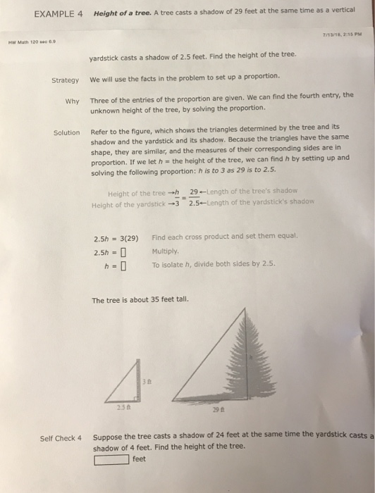 Solved EXAMPLE 4 Height of a tree. A tree casts a shadow of | Chegg.com