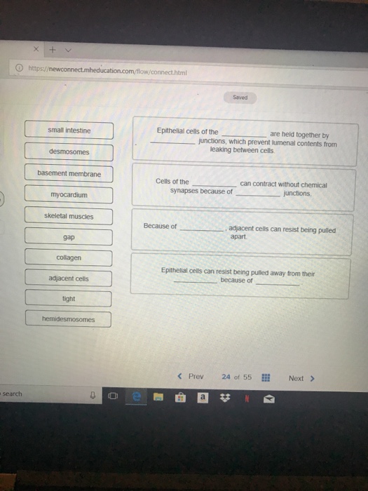 Solved Saved Describing Cell Junctions The statements below | Chegg.com