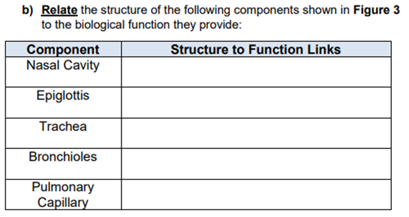 Solved b) Relate the structure of the following components | Chegg.com
