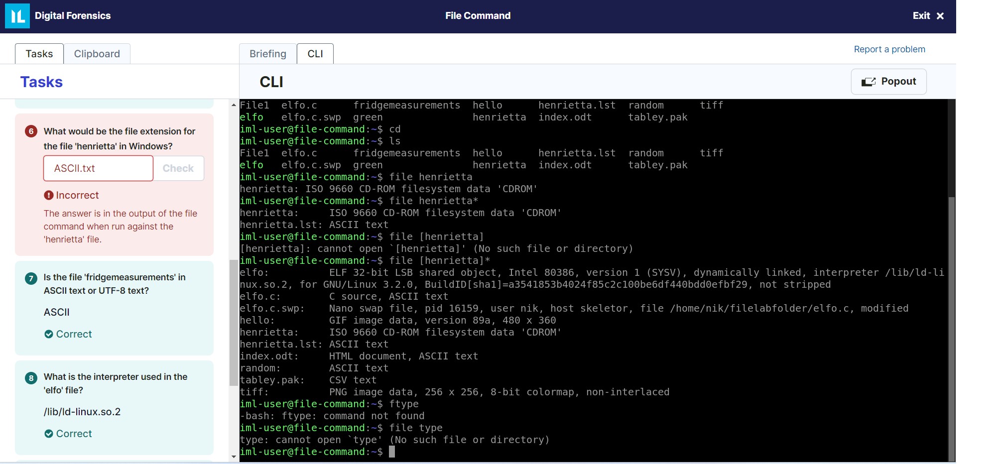 Solved 6) What would be the file extension for the file | Chegg.com