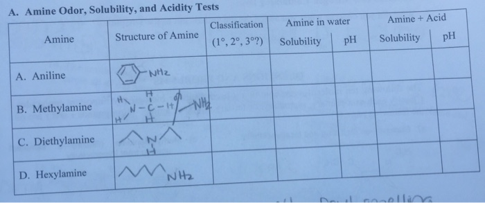 Solved A. Amine Odor, Solubility, and Acidity Tests | Chegg.com