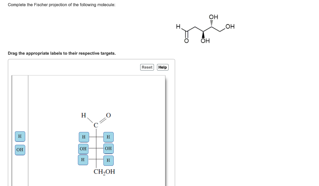 Fischer Projections Biochemknowledge