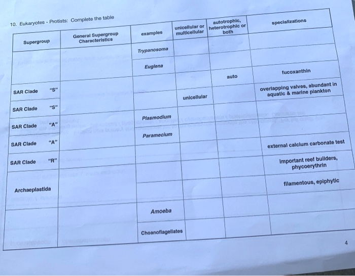 Solved 10. Eukaryotes- Protists: Complete the table | Chegg.com