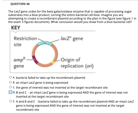 Solved QUESTION 46 The Lacz gene codes for the beta | Chegg.com