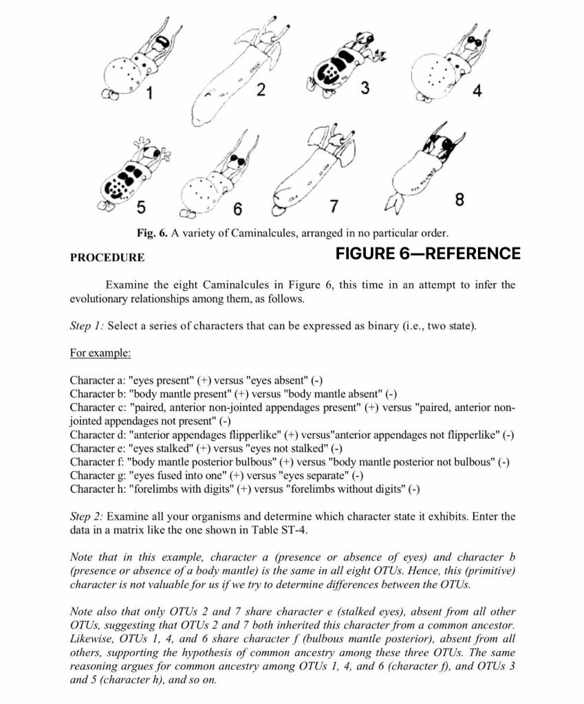 Solved Using the Caminalcules Set 2 shown in Figure 9, list | Chegg.com